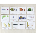 Montessori Phonogram 3-Part Reading Cards: Green Sandpaper Letters