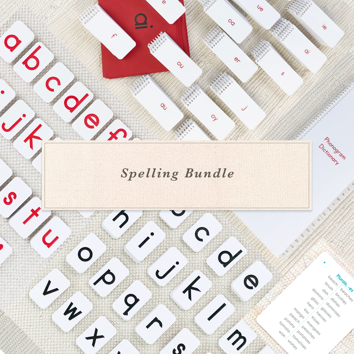 Spelling, Phonics & Decoding