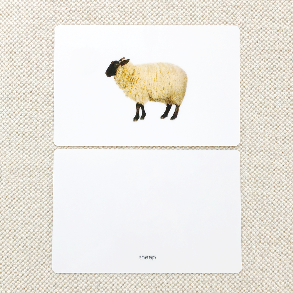 Cards Only - $15.95 USD Cards + Red Cloth Pouch - $30.90 USD Variant