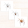 Parts of the Spider Book & Card Set