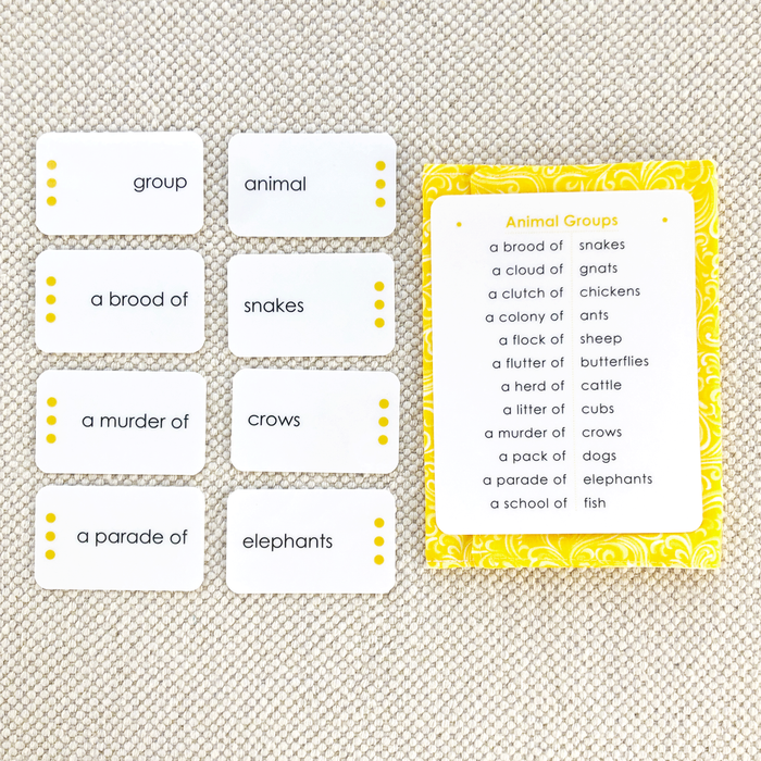 Cards - $14.95 USD Cards & Pouch - $29.90 USD Variant