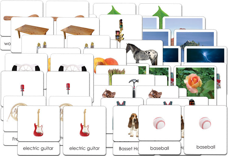 3-Part Classified Reading Cards