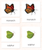 Butterflies Montessori 3-Part Cards