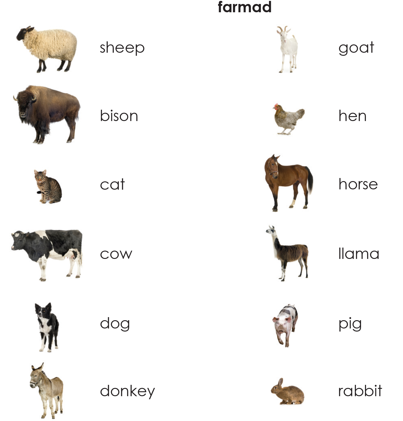 German Farm Animals Montessori 3-Part Cards – Maitri Learning