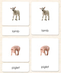 Farm Animals Montessori 3-Part Cards