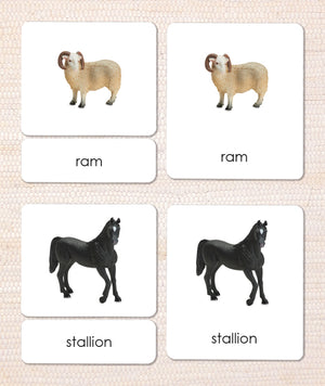 Farm Families 3-Part Cards