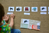 Phonetic Montessori Cards: Simplest Words (level 1)