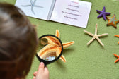 Parts of the Sea Star (Starfish) Book & Card Set