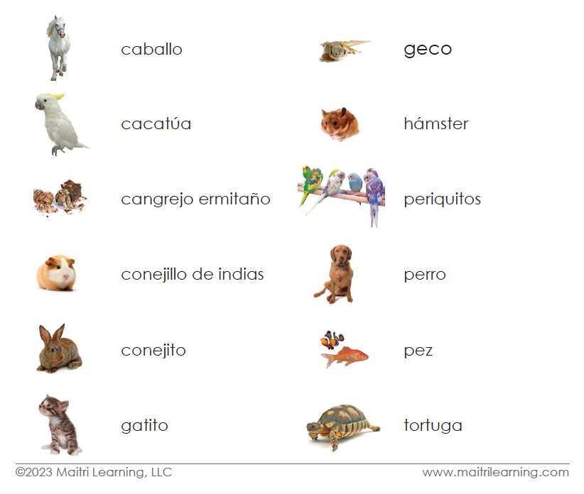 Pets Montessori Vocabulary Cards – Maitri Learning