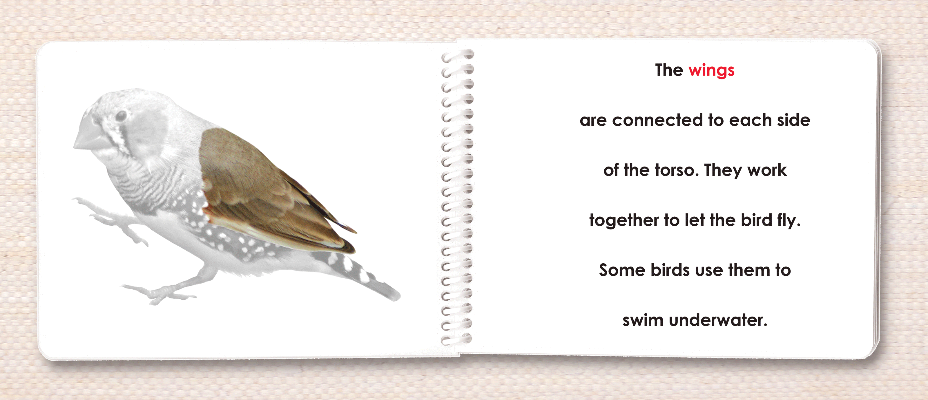 Parts of the Bird Book