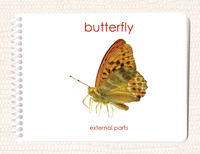 Parts of the Butterfly Book