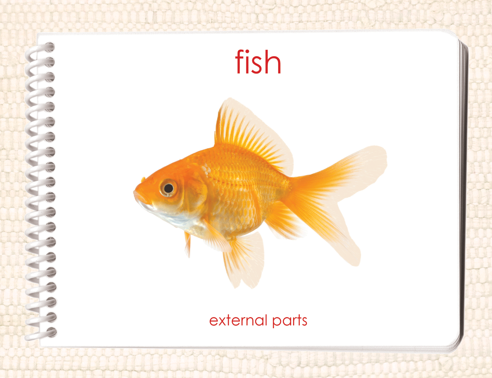 Parts of the Fish Book
