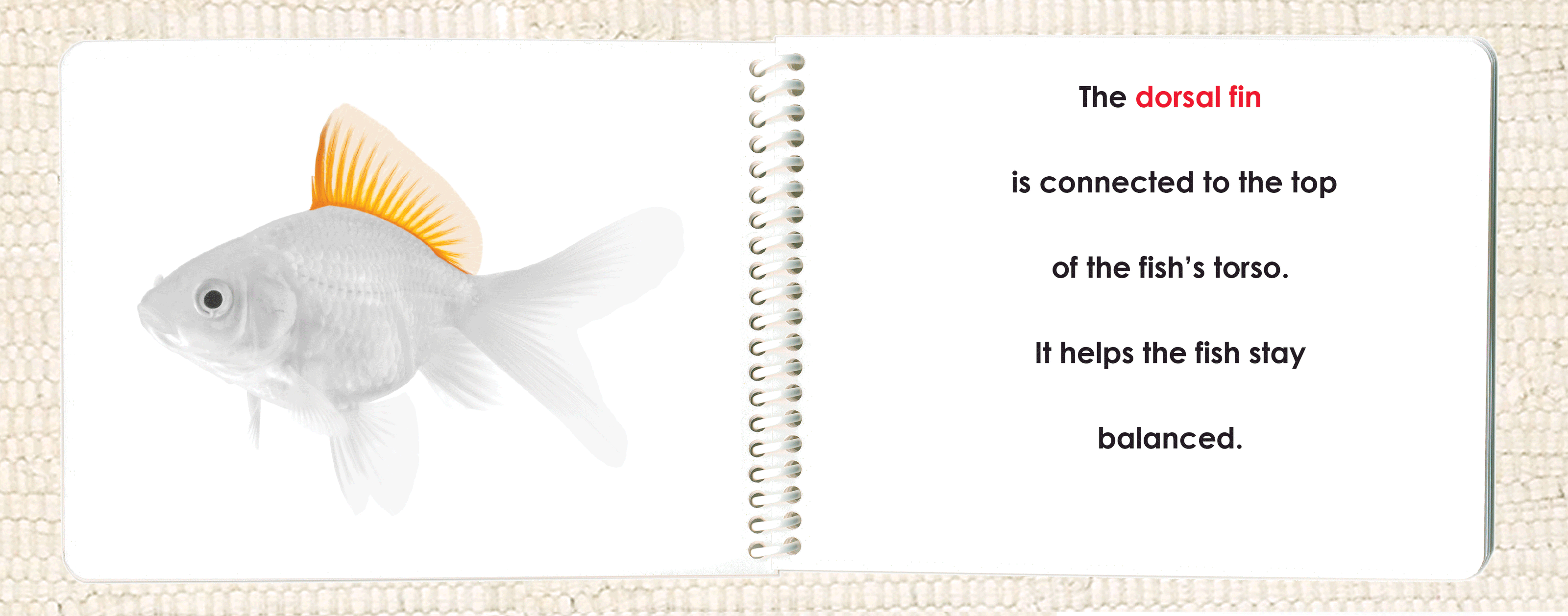 Parts of the Fish Book