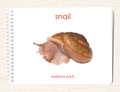 Parts of the Snail Book