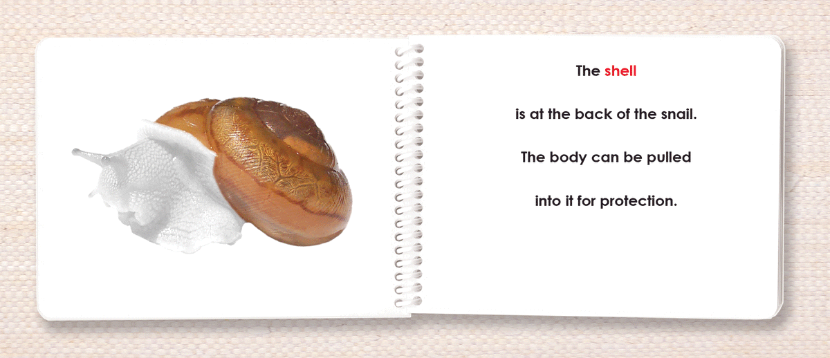 Parts of the Snail Book