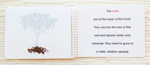 Parts of the Tree Book – Maitri Learning