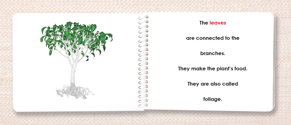 Parts of the Tree Book