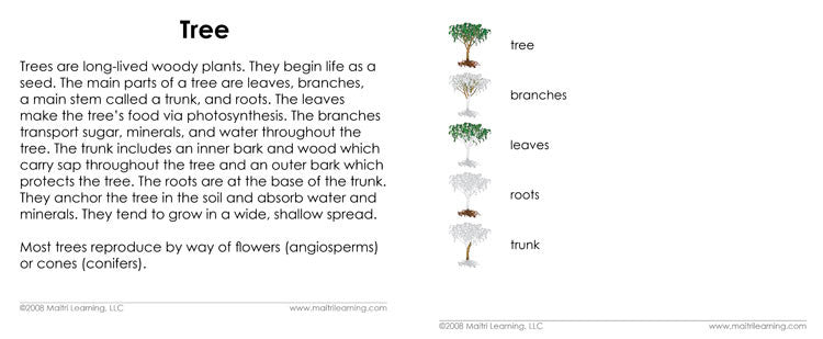 Parts of the Tree Book & Card Set – Maitri Learning