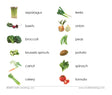 Vegetables Montessori Vocabulary Cards