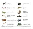 Reptiles Montessori Vocabulary Cards