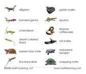 Reptiles Montessori Vocabulary Cards