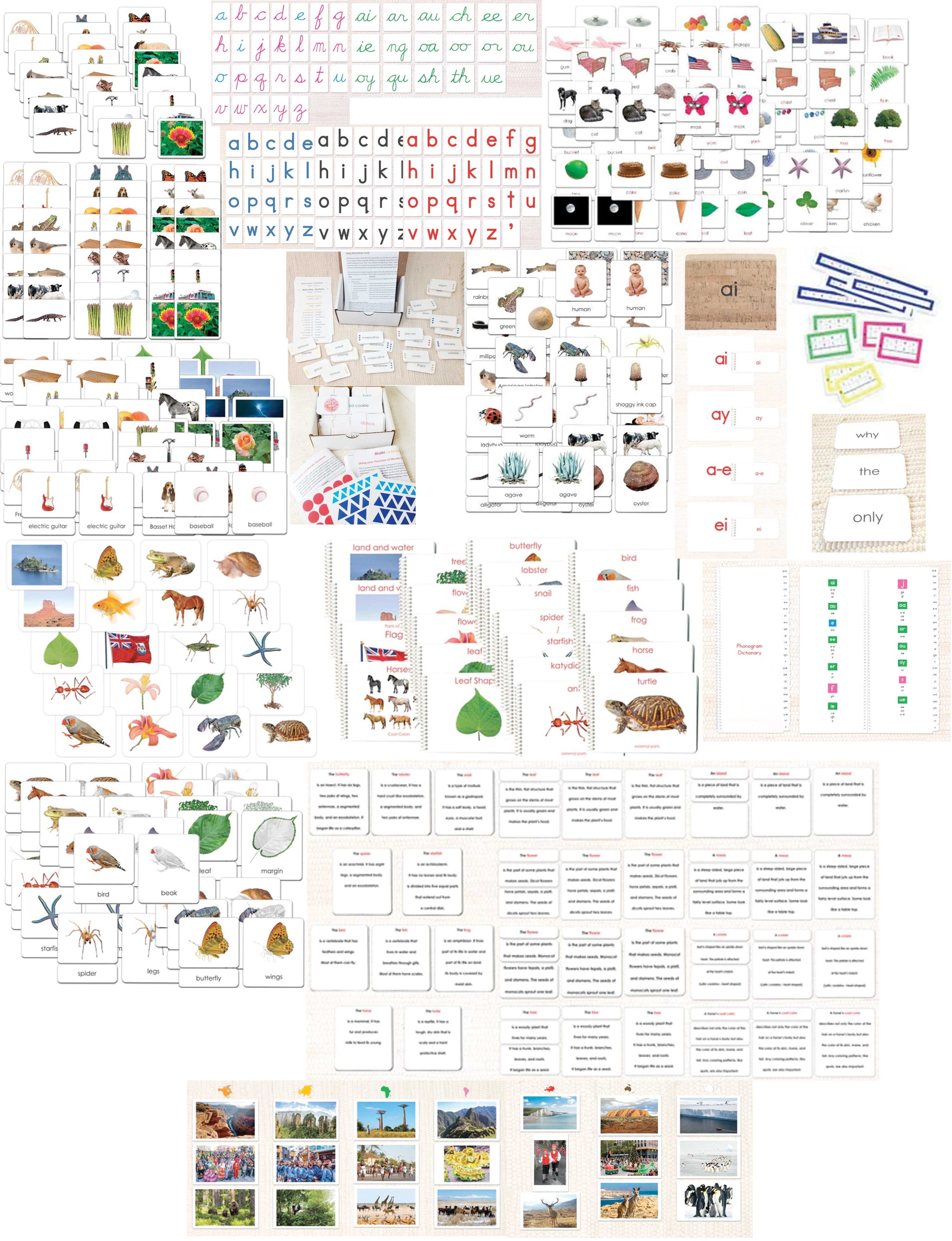 Complete EC Classroom Set