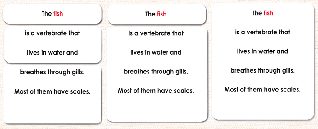 Montessori Fish Definition Cards – Maitri Learning