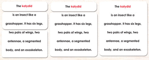 Parts of the Katydid Book & Card Set – Maitri Learning