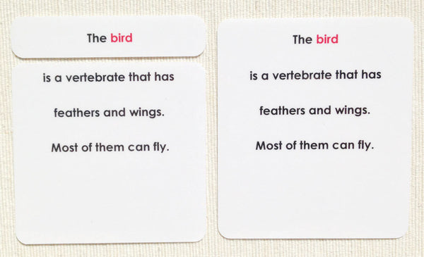 Montessori Bird Definition Cards
