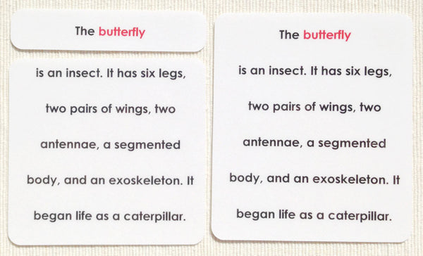 Montessori Butterfly Definition Cards