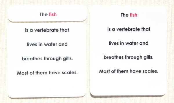 Montessori Fish Definition Cards