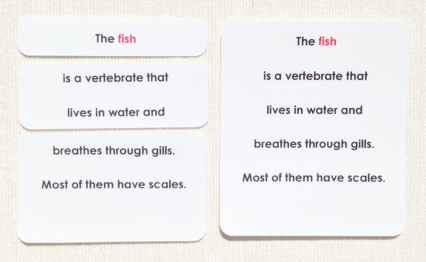Montessori Fish Definition Cards
