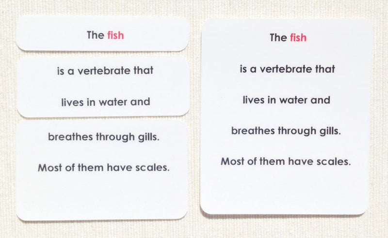 Montessori Fish Definition Cards