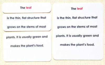 Montessori Leaf Definition Cards