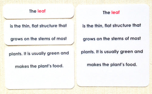 Montessori Leaf Definition Cards