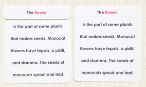 Montessori Flower Definition Cards