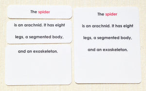 Montessori Spider Definition Cards