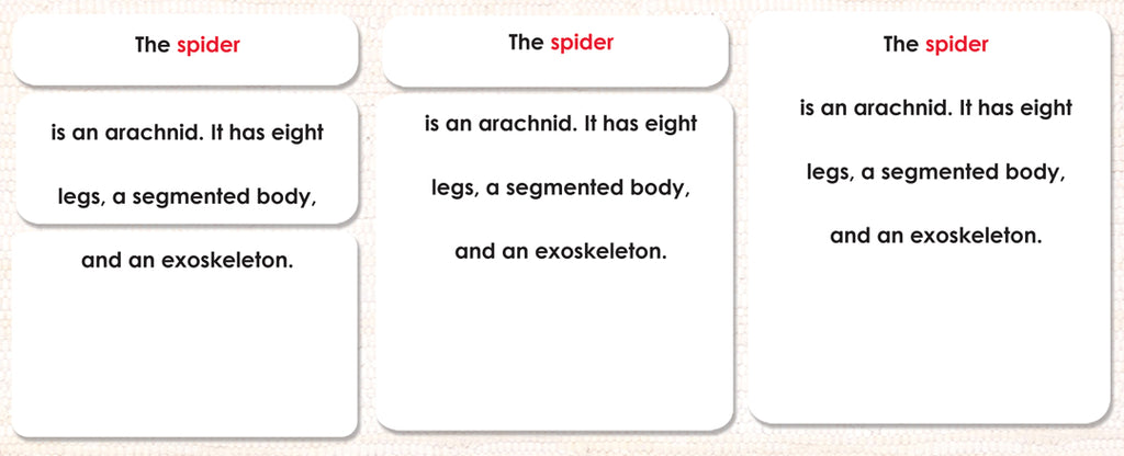 Montessori Spider Definition Cards – Maitri Learning