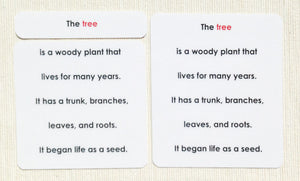 Montessori Tree Definition Cards