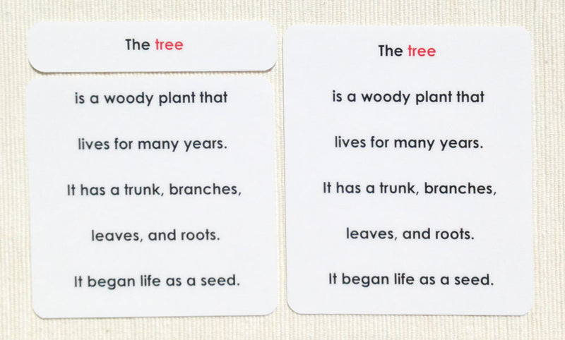 Montessori Tree Definition Cards