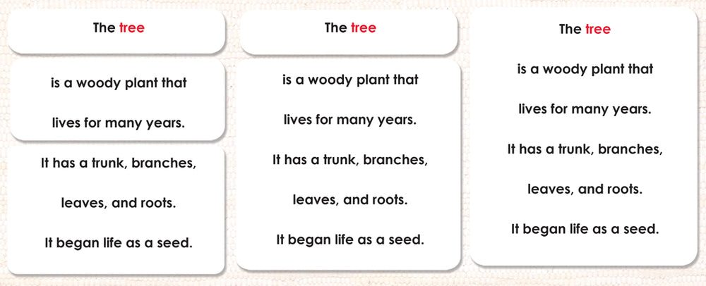 Montessori Tree Definition Cards