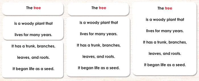 Montessori Tree Definition Cards