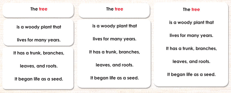 Montessori Tree Definition Cards