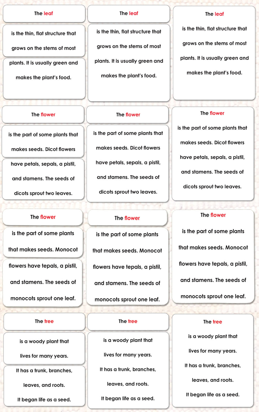 Montessori Definition Cards