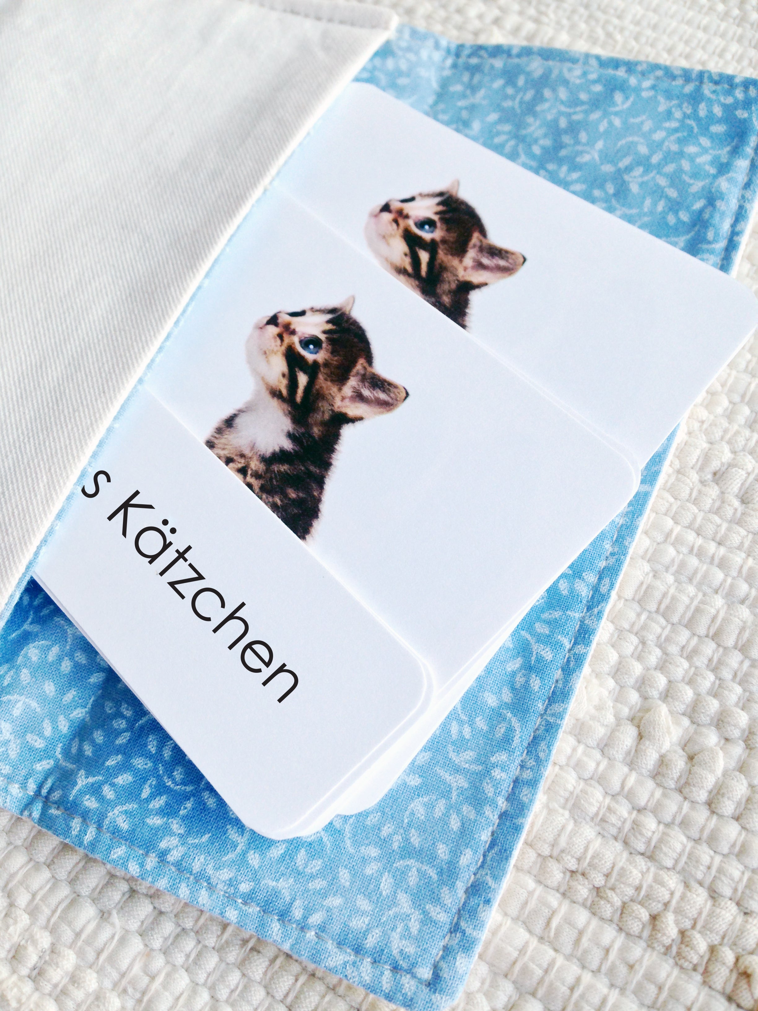 Pets Montessori 3-Part Cards – Maitri Learning