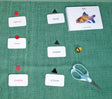 Montessori Grammar Activities: The Verb