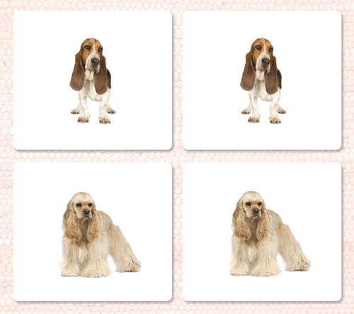 Dogs Matching
