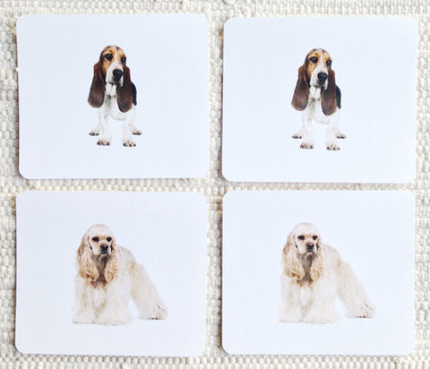 Dog Breeds Montessori 3-Part Cards – Maitri Learning