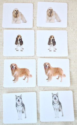 Dogs Matching