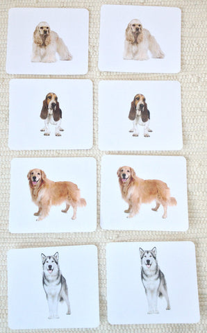 Dog Breeds Montessori 3-Part Cards – Maitri Learning